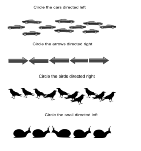 Occupational therapy visual perception worksheet - HappierTHERAPY
